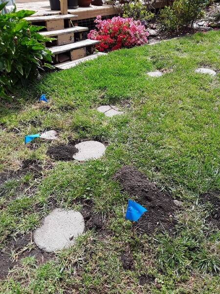 Photos by Mole Busters LLC