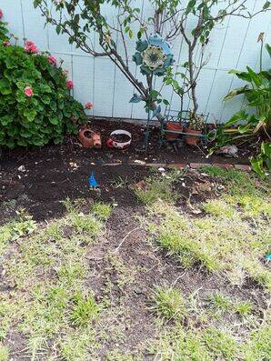 Photos by Mole Busters LLC