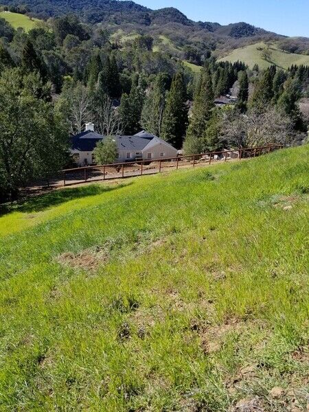 Photos by Mole Busters LLC