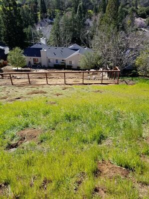 Photos by Mole Busters LLC