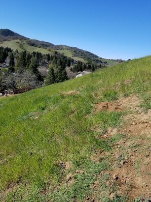 Photos by Mole Busters LLC