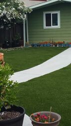 Photos by Mole Busters LLC