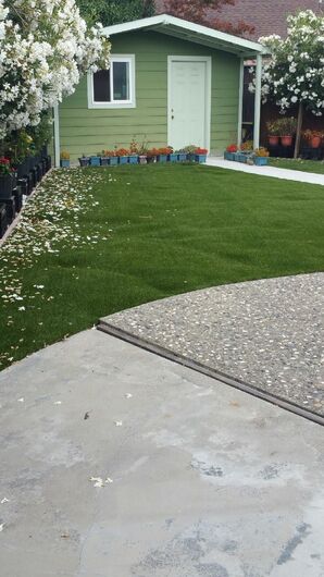 Photos by Mole Busters LLC