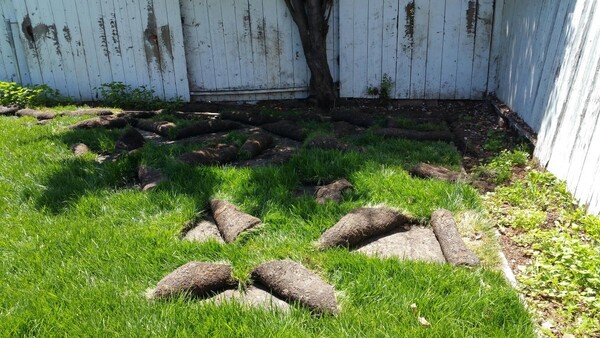 Photos by Mole Busters LLC